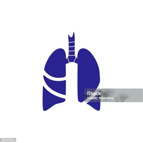 ภาพประกอบทางการแพทย์ภาพเงาเวกเตอร์ของอวัยวะร่างกายมนุษย์ ปอดที่มีหลอดลม แม่แบบสัญลักษณ ภาพประกอบ