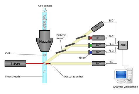 Flow Cytometry Diagram