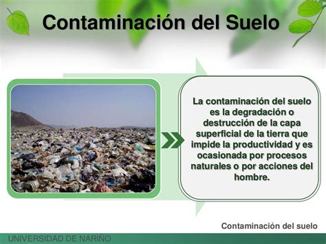 Contaminacion Del Suelo Causas Consecuencias Y Soluciones Resumen Images
