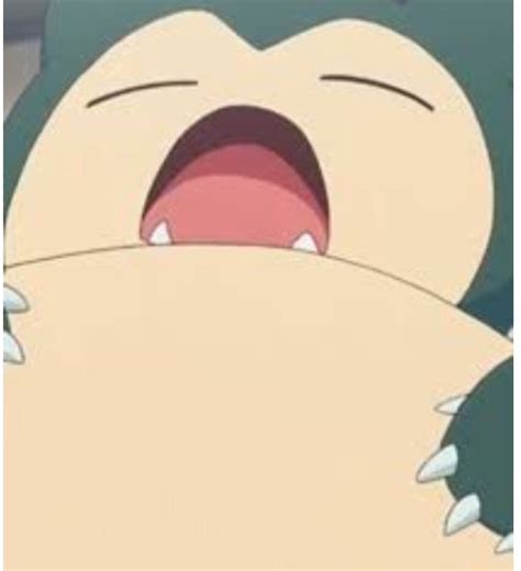 Snorlax Wiki Pokémon Amino