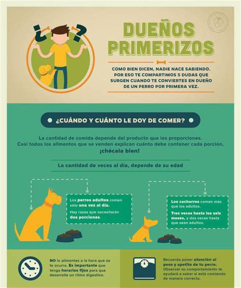 Estás Pensando En Tener Una Mascota San Marcos Mascotas