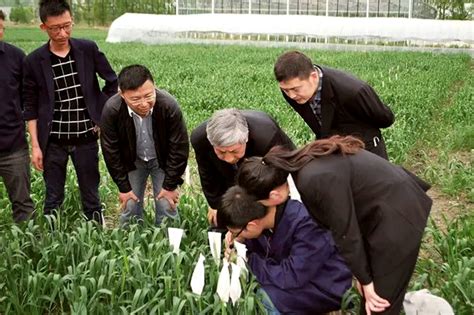 江苏法院网