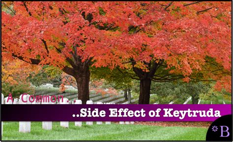 How Death Is A Common Side Effect Of Keytruda Immunotherapy