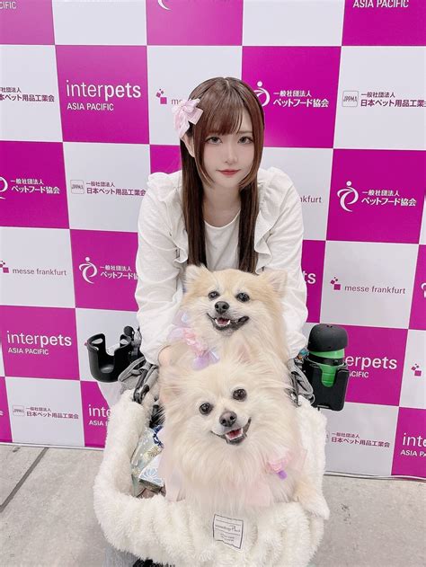 📸 画像：すみれおじさん｜コスプレイヤー・すみれおじさん、保護犬・猫テーマにした映画『僕はあなたを待っている』出演決定！「保護犬の事情を知って