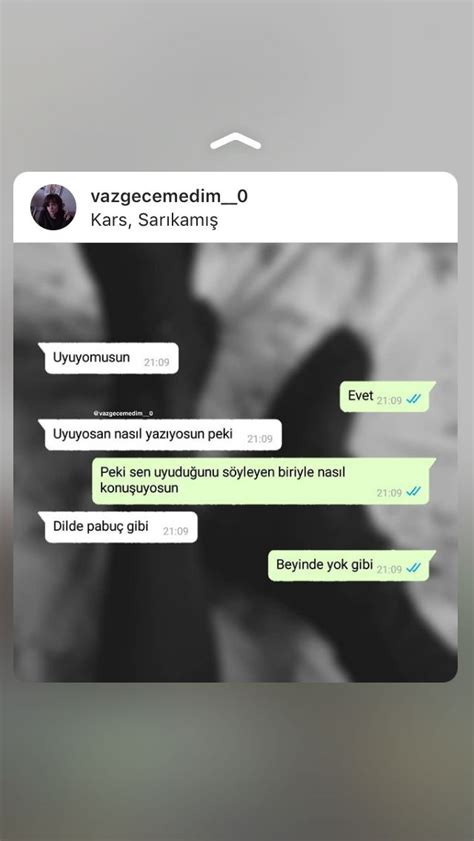 Pin On Diyaloglar