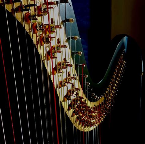 PRICE LIST Harp Tech