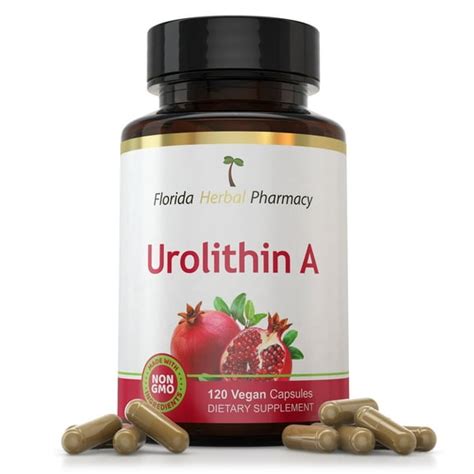 Supplements Lymphatic System