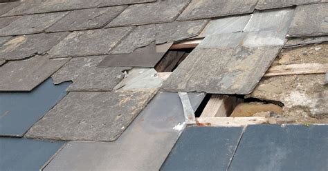 Key Considerations For Wind Damage Insurance Claims