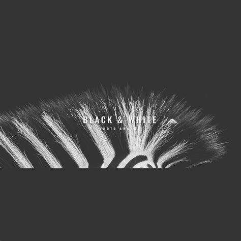 2022 BLACK WHITE PHOTO AWARD 點子秀