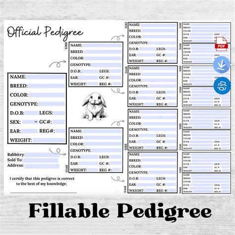 Rabbit Pedigree Template Fillable Pedigree Rabbit Pedigree Rabbitry