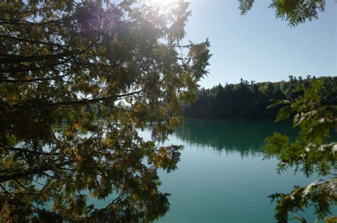 Fotos Gratis Paisaje árbol Naturaleza Bosque Luz De Sol Hoja