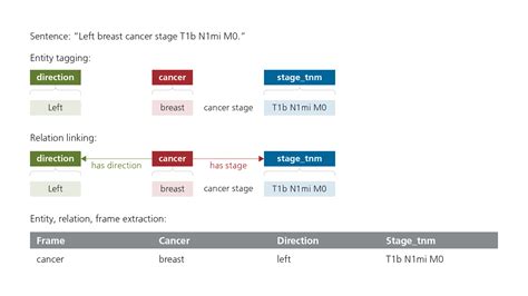 Clinical Natural Language Processing Unearthing Oncology Insights By