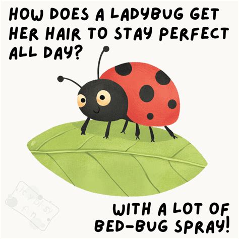 Insect Jokes And Riddles Bug Jokes Insect Puns Ant Humor 3