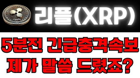 리플 여러분 리플 올라간다고 했죠 리플 리플코인 리플전망 암호화폐 YouTube