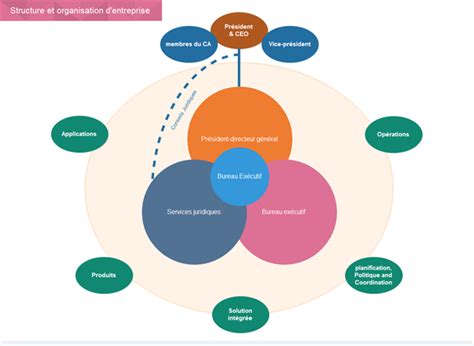 Exemple De Structure Organisationnelle
