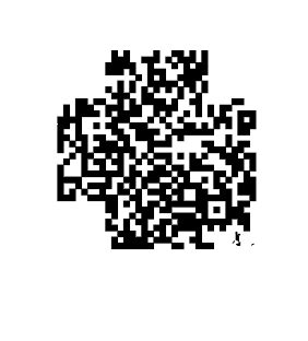 Bitly Codes Software Generatore Di Qr Code Personalizzati