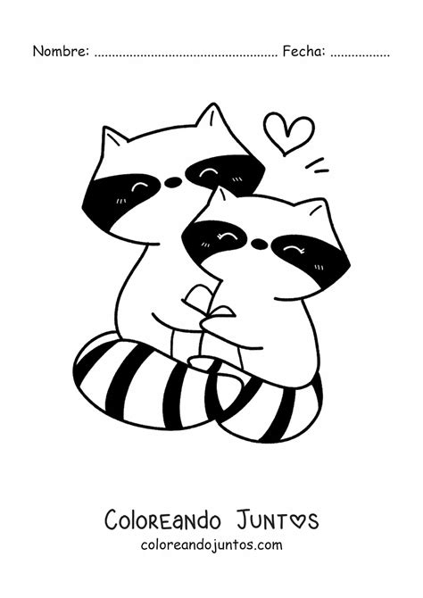 Pareja De Mapaches Kawaii Coloreando Juntos