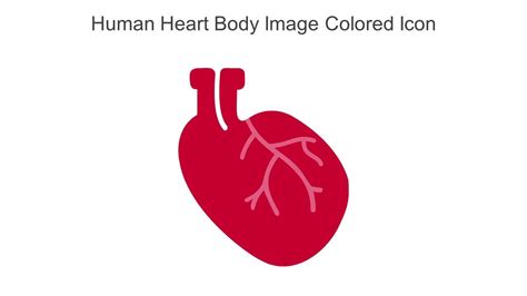 Human Heart Body Image Colored Icon In Powerpoint Pptx Png And Editable Eps Format Ppt Presentation