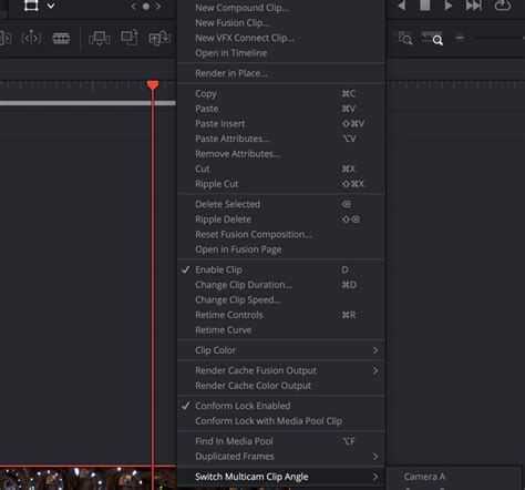 weird bug not showing the flatten option for multicam clips in tl r