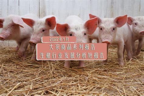2022年1月大宗商品系列报告生猪行业发展分析短报告 知乎