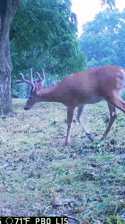 [video] Spartan Camera On Linkedin Spartancamera Teamspartan