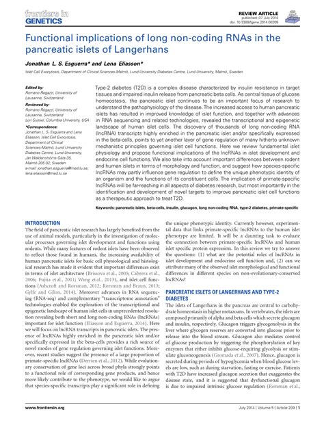 Pdf Functional Implications Of Long Non Coding Rnas In The Pancreatic Islets Of Langerhans