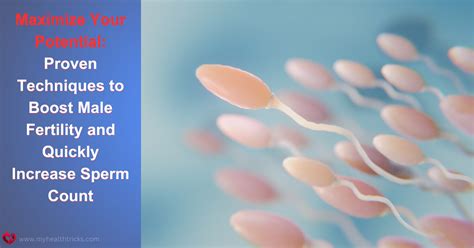 Proven Techniques To Boost Male Fertility And Quickly Increase Sperm