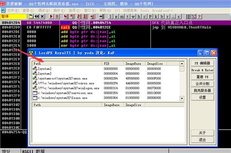 loadpe and importrec wker