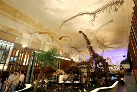 召喚史前巨獸 臺博館「古生物大展」重新開展 民生頭條