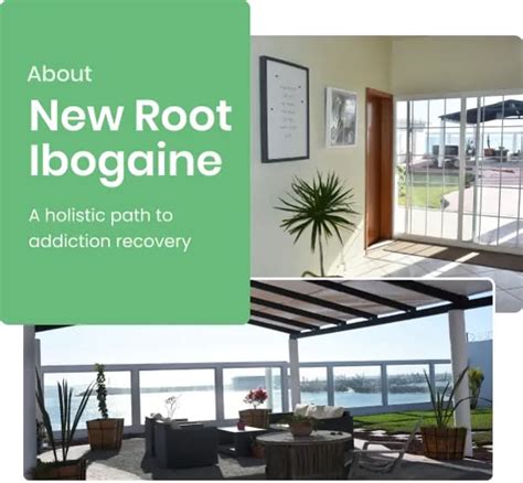 New Roots Ibogaine Helps Address Ptsd And Depression With Holistic