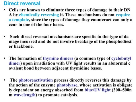 Nucleotides 1 Pptx Presentation On Nucleotides Structure Ppt