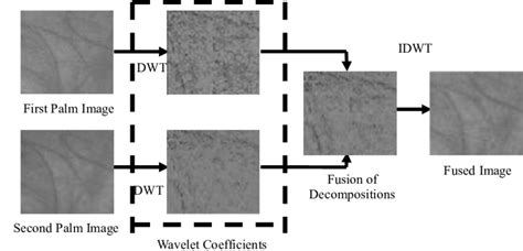 Wavelet Based Palmprint Fusion Technique Using Haar Wavelet Fused