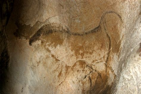 Grottes préhistoriques de Grottes préhistoriques de gargas ff tourisme
