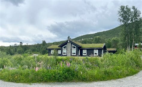 Hiển Thị Công Thức Toán Với Matplotlib Và Xuất Dataframe Sang Latex Với Pandas Science Comics