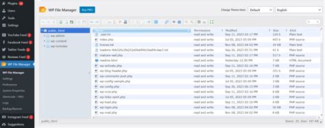 access server files through wordpress file manager plugin