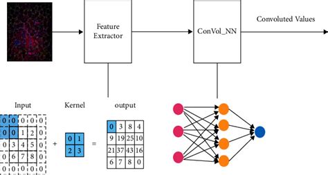 Biomedical Microscopic Imaging In Computational Intelligence Using Deep Learning Ensemble