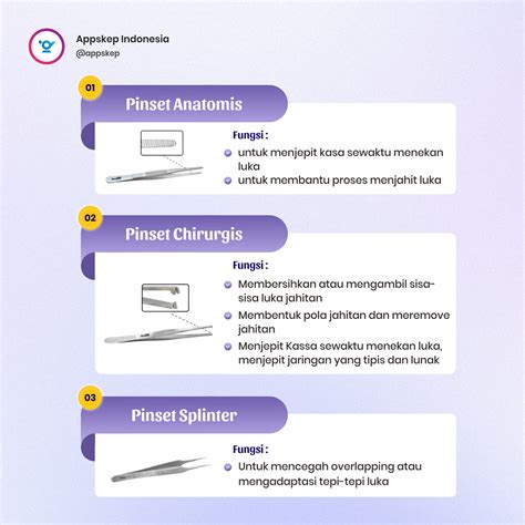 pinset anatomis fungsi accdis english hub