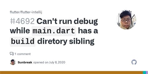 Cant Run Debug While `maindart` Has A `build` Diretory Sibling