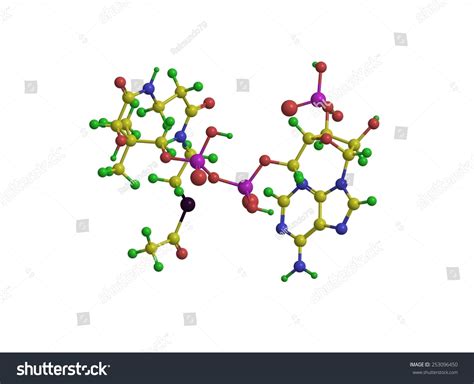 Molecular Structure Acetyl Coenzyme Acetyl Coa Stock Illustration