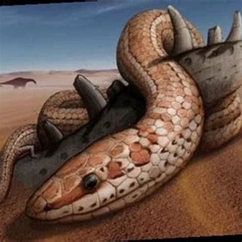 What Are The Limbs Of Reptiles Diy Seattle