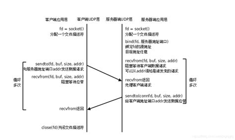 socket网络编程基础篇 如何写一个简单的tcp服务器 socket服务器写法 csdn博客