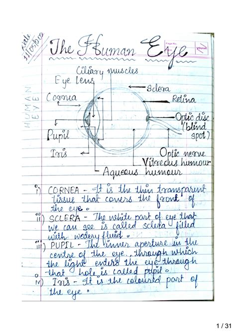 SOLUTION Class Physics Human Eye Studypool