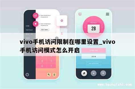 Vivo手机访问限制在哪里设置vivo手机访问模式怎么开启 好会知