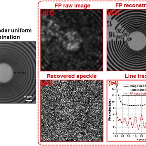 Imaging Performance Of The Reported Fpp Platform A The Reference