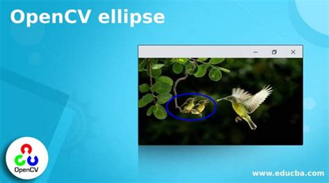 Opencv Ellipse Syntax And Examples Of Opencv Ellipse
