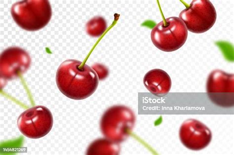 체리 배경입니다 흐릿한 효과로 날아 다니는 열매 투명한 배경에 떨어지는 빨간 체리 벽지 배너 포스터 인쇄 직물 포장지에 사용할 수 있습니다 벡터 3d 현실적인 3차원 형태에