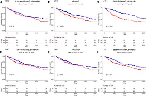 Frontiers Lfsc A Linear Fast Semi Supervised Clustering Algorithm