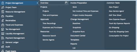 Bösch Erp Efficient Project Management With Sap Business Bydesign