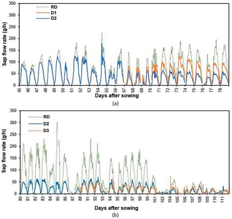 Physiological And Dry Matter Characteristics Of Spring Maize In Northeast China Under Drought Stress
