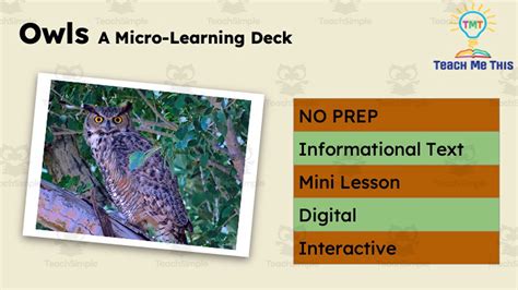 Owls Interactive Science Lesson Micro Learning Deck By Teach Simple